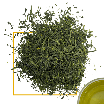 Sencha Fuji - Grands Crus